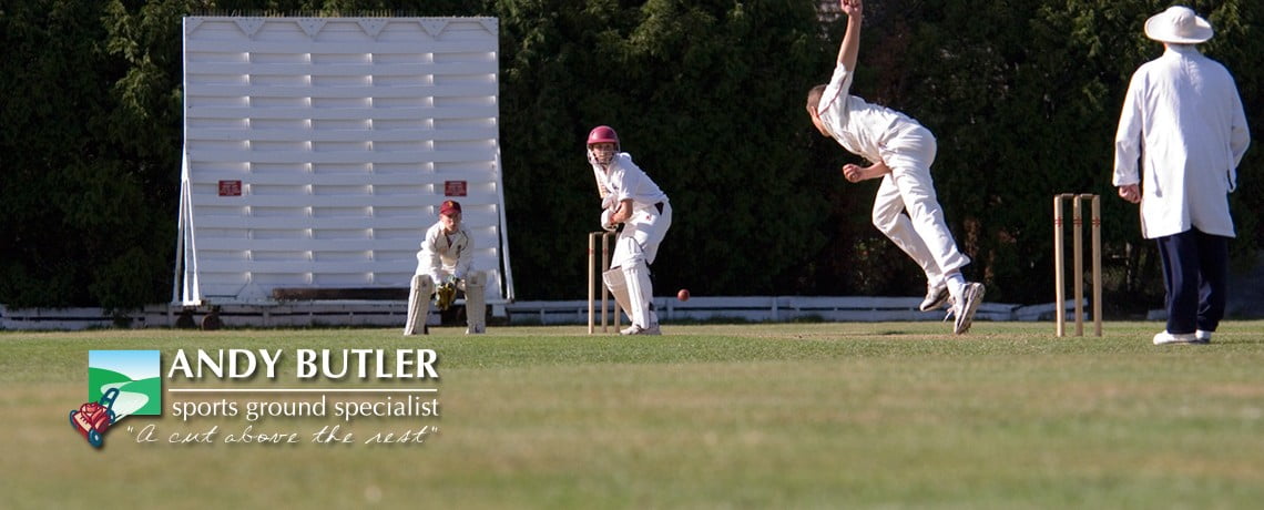 ECB County Pitch Advisor